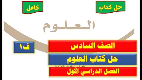 حل كتاب العلوم سادس ف1 Youtube