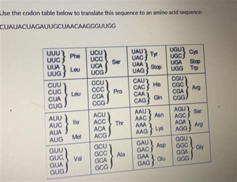 Solved Use The Codon Table Below To Translate This Sequence