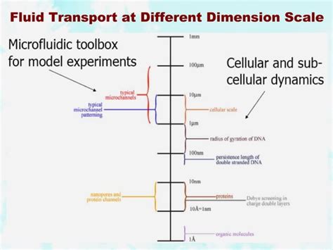 Sk Microfluidics And Lab On A Chip Ch2 Ppt