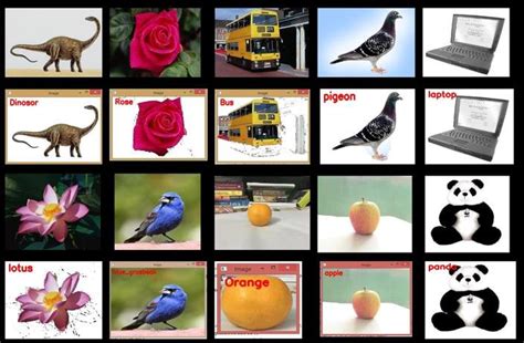 Image Classification Or Mapping Result Of Svm Exploiting Feature And