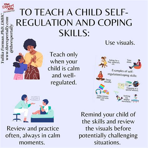 behaviors self regulation skills the expert ally