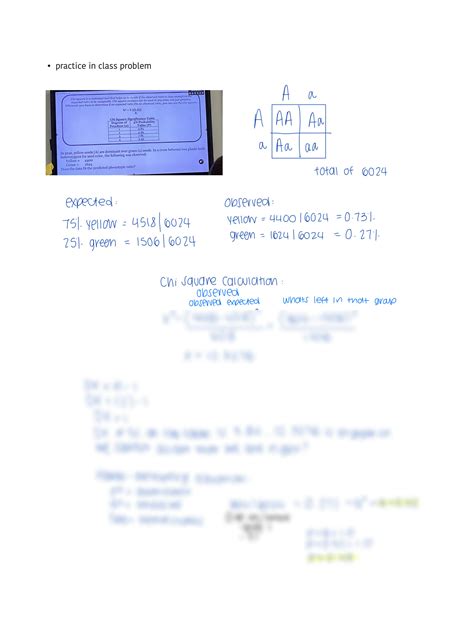 Solution Chi Squared Analysis Copy Studypool