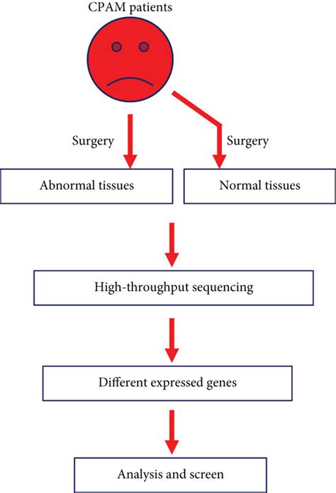 Identification Of Degs Involved In The Pathogenesis Of Cpam A Download Scientific Diagram
