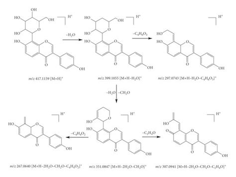 Possible Fragmentation Pathway Of Compound 3 Download Scientific Diagram