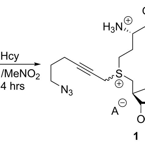 Synthetic Route To Adomet Analog 1 Carrying An Extended Sulfonium Bound