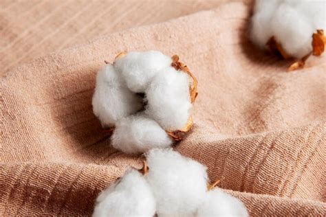 Cotton Vs Cotton Blend Which Fabric Should You Choose Eyaas