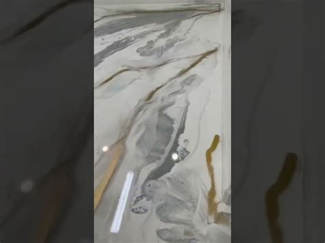 Polyurethane Floor Coating Pu Coating Service Provider From New Delhi