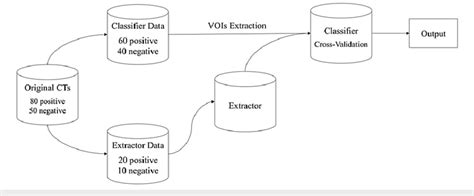 Data Flow And Sampling In The Model Development Process Download