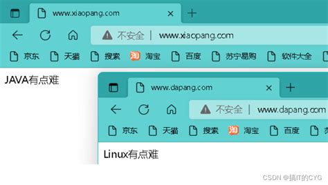 linux环境下配置web服务器与虚拟主机实战 csdn博客