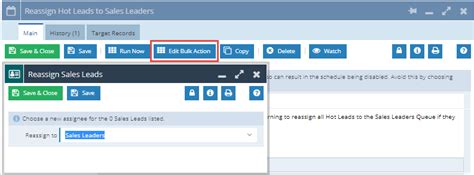 Scheduled Bulk Actions Workbooks CRM Support