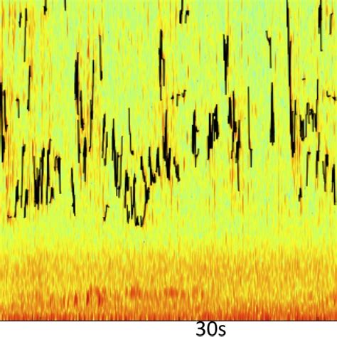 Spectrograms 0 To 6 Khz For Four 1 Minute Files Across Three Habitat