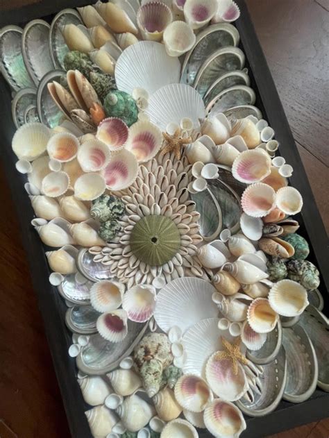Framed Seashell Wall Mosaic Natural Sea Shells Coastal Nautical Wall
