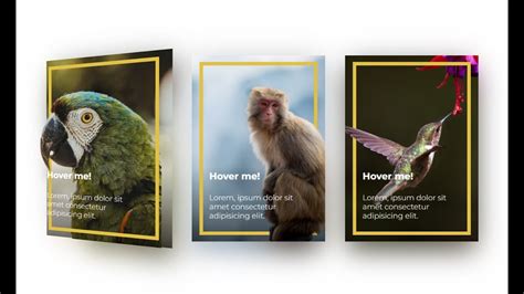 3d hover animation effect html css javascript coding youtube