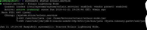 beginner s guide to ️⚡lightning️⚡ on a raspberry pi bitcoin insider