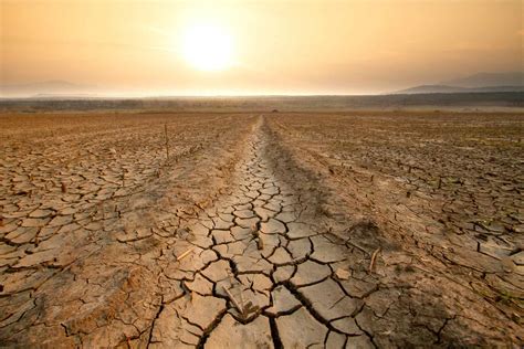 Agriculture Dept Assessing Severity Of Drought On Sa Crop Yield