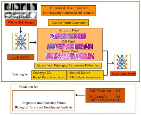 Breast Cancer Dataset Classification And Detection Using Deep Learning