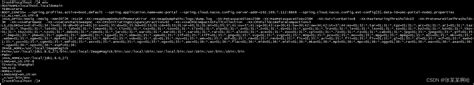 查看docker容器环境变量和如何向容器传递环境变量docker Env容器启动时还没有加载环境变量 Csdn博客