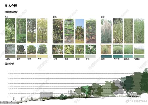树木植物分析图psd免抠下载【id 1123587444】undefined