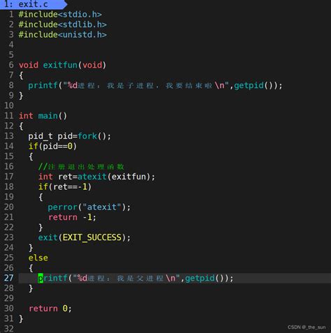 Linux进程父子孤尸 Csdn博客