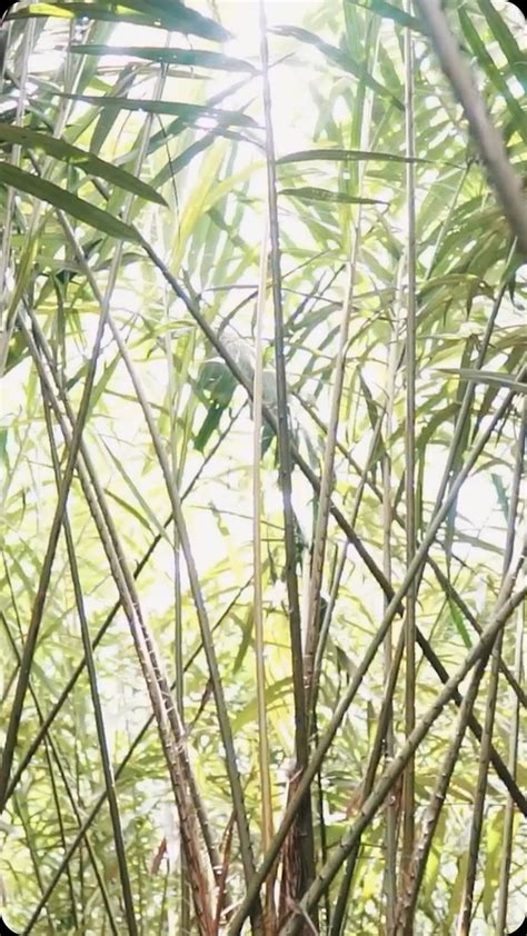 Pt Tourezia Cakra Inspira Tourezia Event • Instagram Photos And Videos