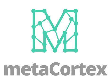 Welcome To Metacortex S Documentation — Metacortex Documentation