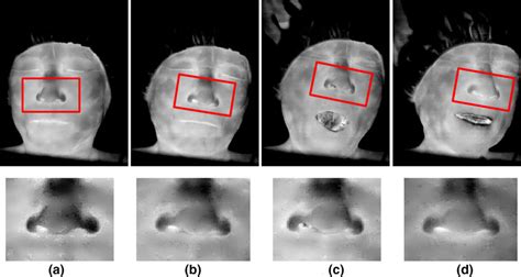 The Klt Tracking Kanadelucastomasi Sequence Example A Initial Download Scientific Diagram
