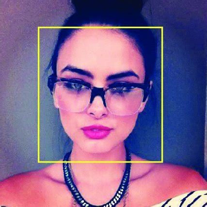 An Example Of Face Detection Download Scientific Diagram