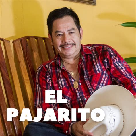 Estoy Contento Youtube Music