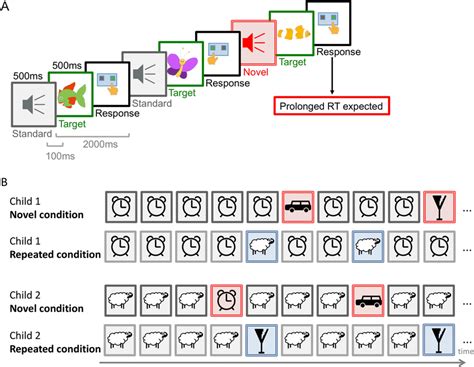 Distraction Paradigm A Participants Distinguished Target Categories