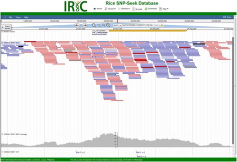 New AWS Public Data Set 3000 Rice Genome AWS News Blog