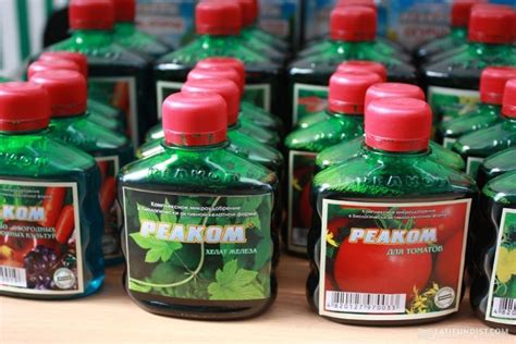 Хелат железа для растений и его применение в качестве удобрения