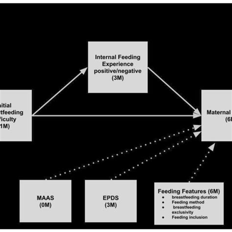 Feeding Experience Mediates The Relationship Between Initial