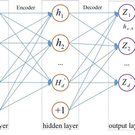 simplified network structure of autoencoder ae download scientific