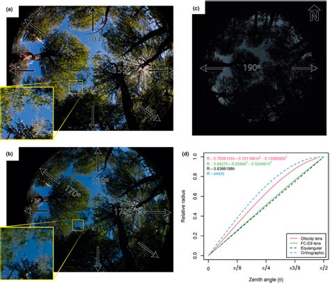 Hemispherical Photographs Of A Nothofagus Pumilio Forest Obtained With Download Scientific