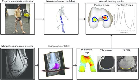 Schematic Overview Of The Workflow Experimental Gait Data Was Download Scientific Diagram