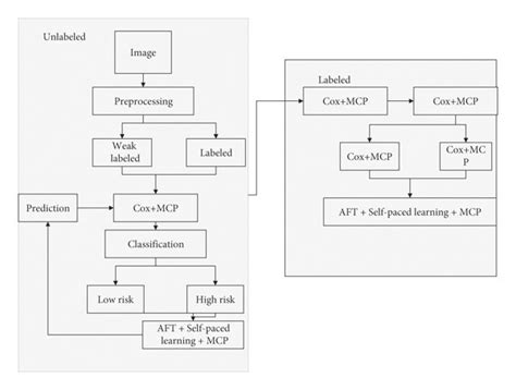 Computational Flow Of Neural Network Of Multilayer Perceptron Genetic