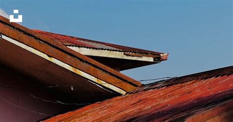 새가 지붕 위에 앉아 있다 사진 Unsplash의 무료 지붕 이미지