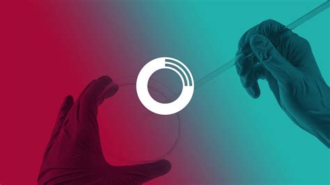 Beta Cell Aging Lab Joslin Diabetes Center