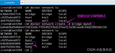 Docker学习：外部浏览器访问容器 容器访问容器 访问容器的常用5种方式 P P 详解docker Run P Csdn博客