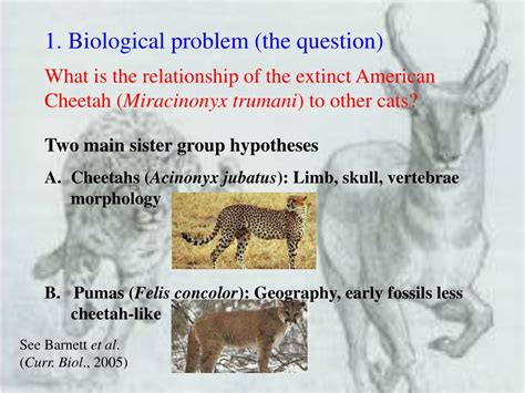 Ppt Lecture 1 Overview Of Phylogenetic Methods And Applications Powerpoint Presentation Id