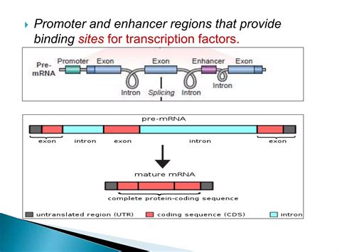 Genomic Imprintingpptx