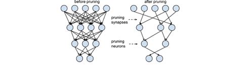 Prune Neural Networks Algorithm 23 Download Scientific Diagram