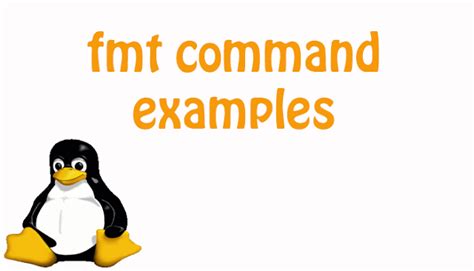Fmt Command In Linux With Examples LPI Central