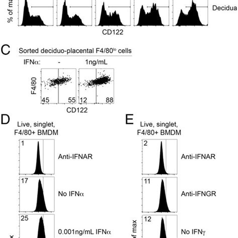 M Csf And Ifns Drive Expression Of Cd122 On Uterine And Bmdms A Isgs