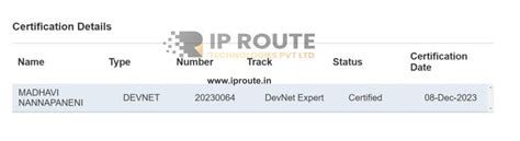 Ccie Ccie Ccieei Ccieeiv1 Ccieenterprise Cciedc Ccieei Cciedevnet… Ccie Routing