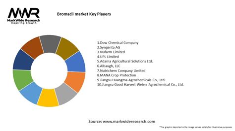 Bromacil Market 2025 2034 Size Share Growth
