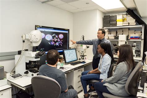 Cytogenetic Technology Md Anderson Cancer Center