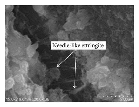 Enlarged View Of The Internal Fractures Of Concrete After 150 Days Of