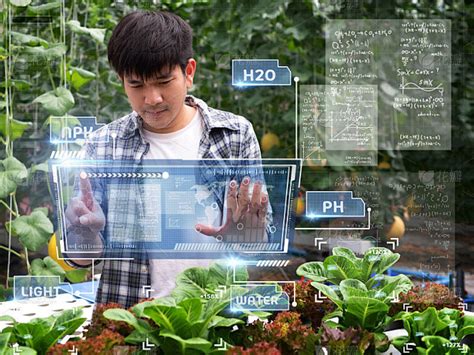 年轻聪明的亚洲农民在他的智能农场使用arvr3d投影玻璃技术。