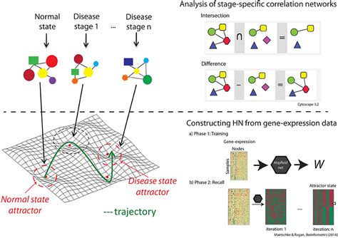Frontiers Modeling The Attractor Landscape Of Disease Progression A Network Based Approach